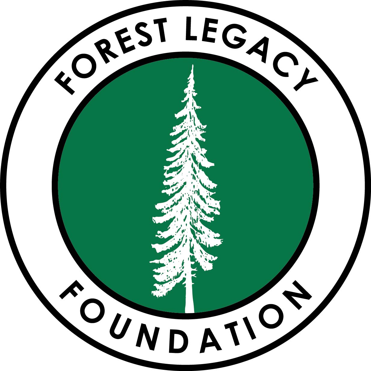 Home - International Pulp Week